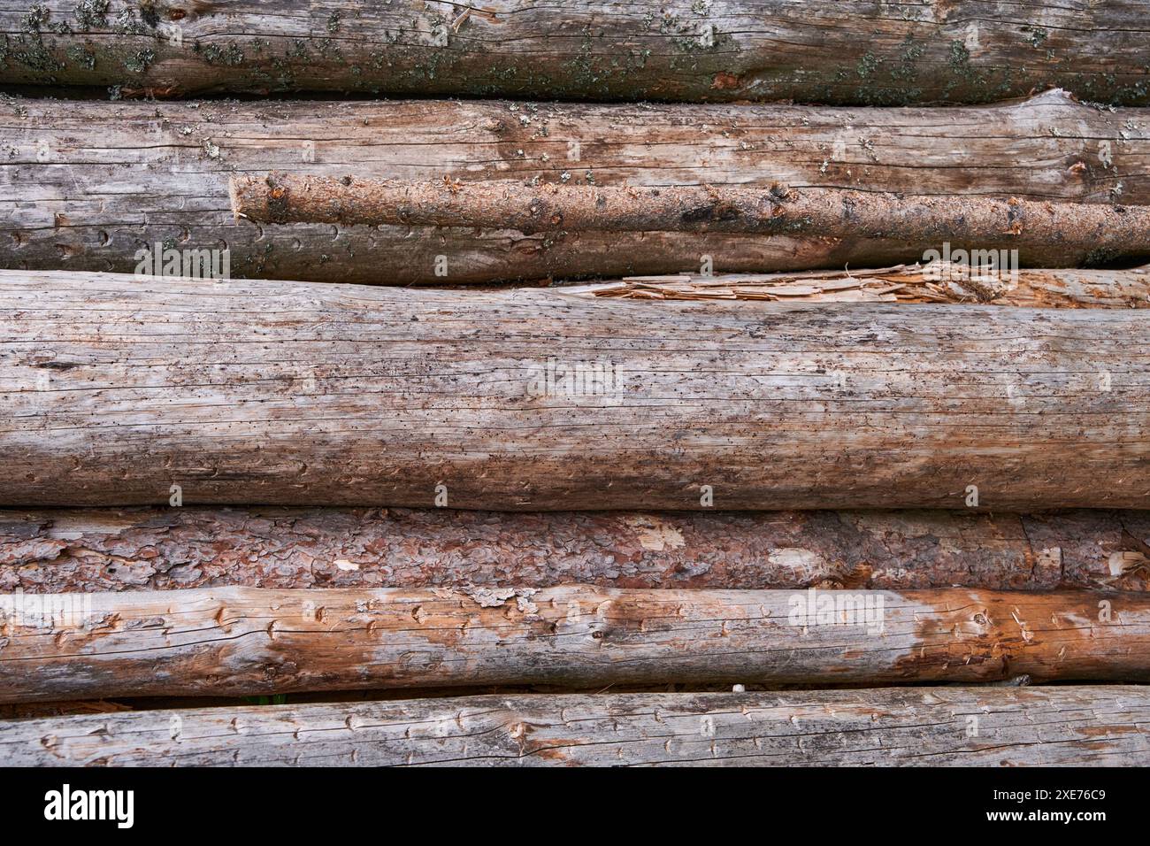 Rows of logs hi-res stock photography and images - Alamy