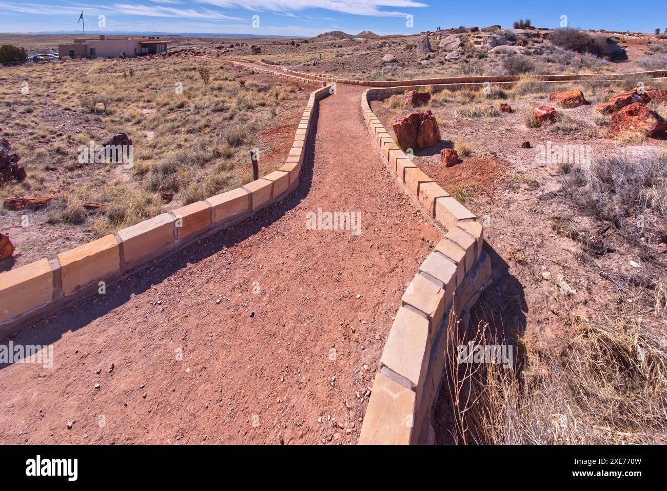 A divide in the trail loop for the Giant Logs trail at Petrified Forest ...