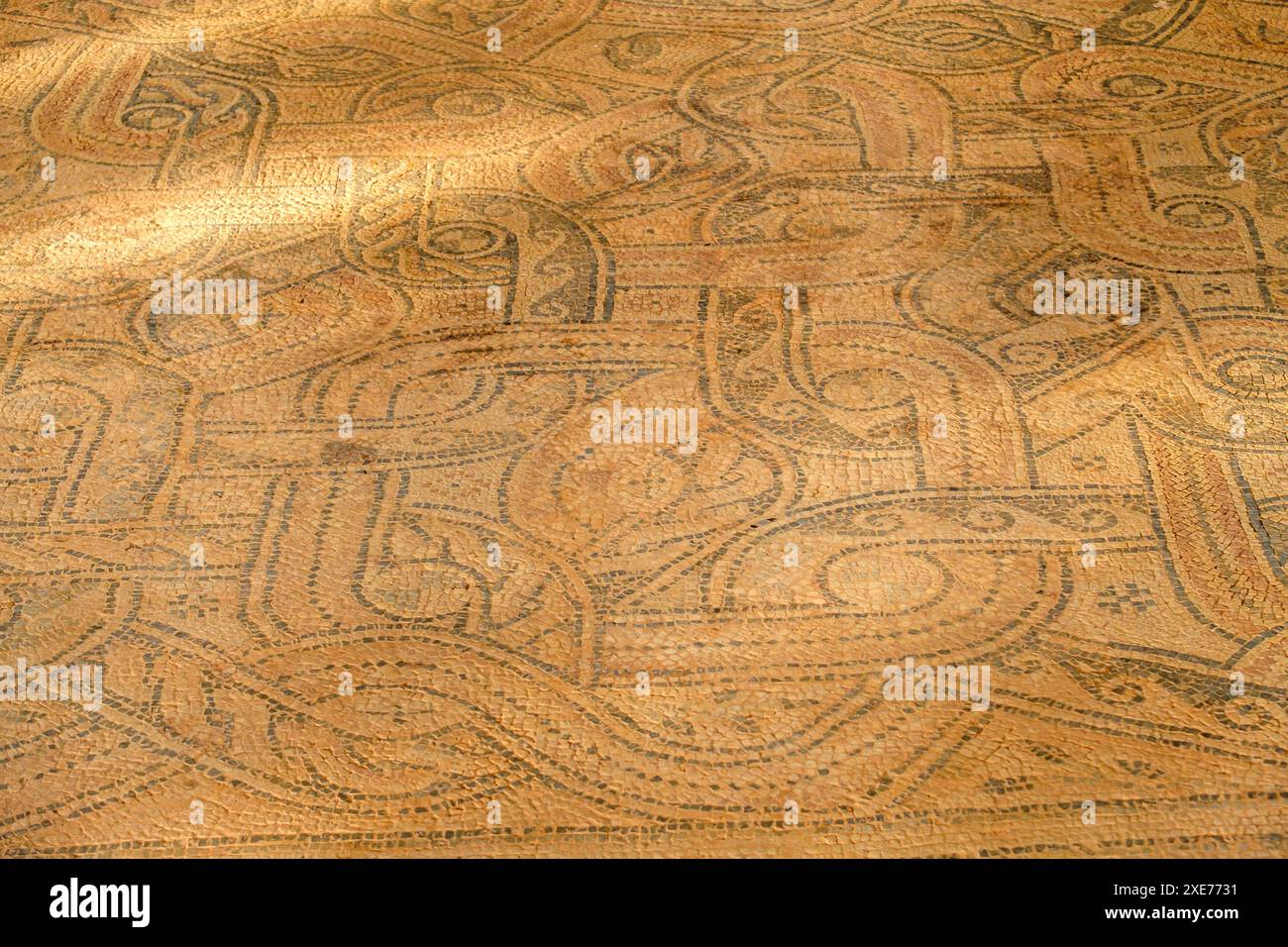 Forna spain hi-res stock photography and images - Alamy