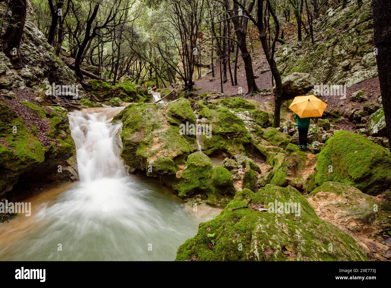 Parque llovizna hi-res stock photography and images - Alamy