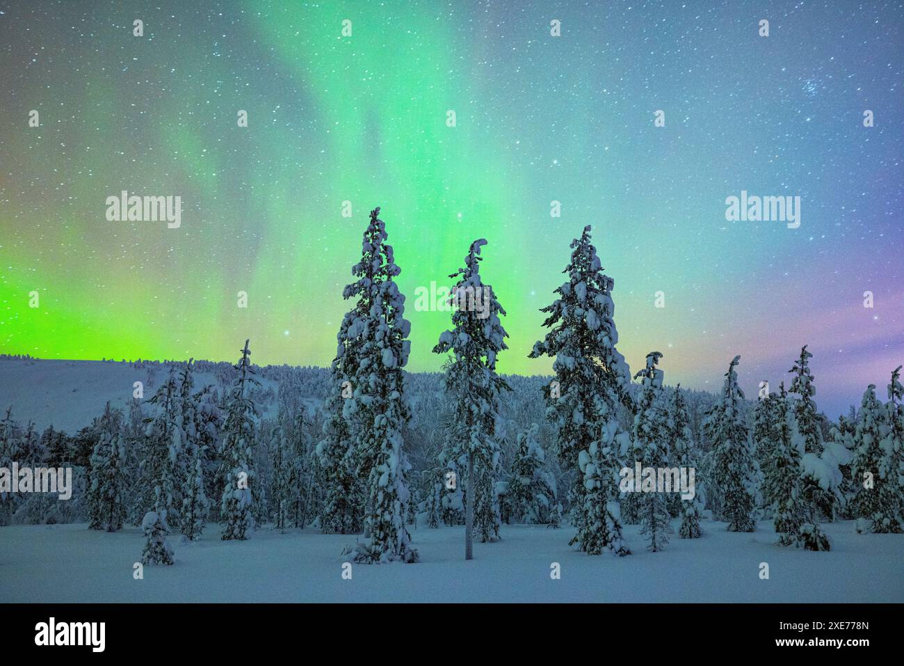Northern lights during night hi-res stock photography and images - Alamy