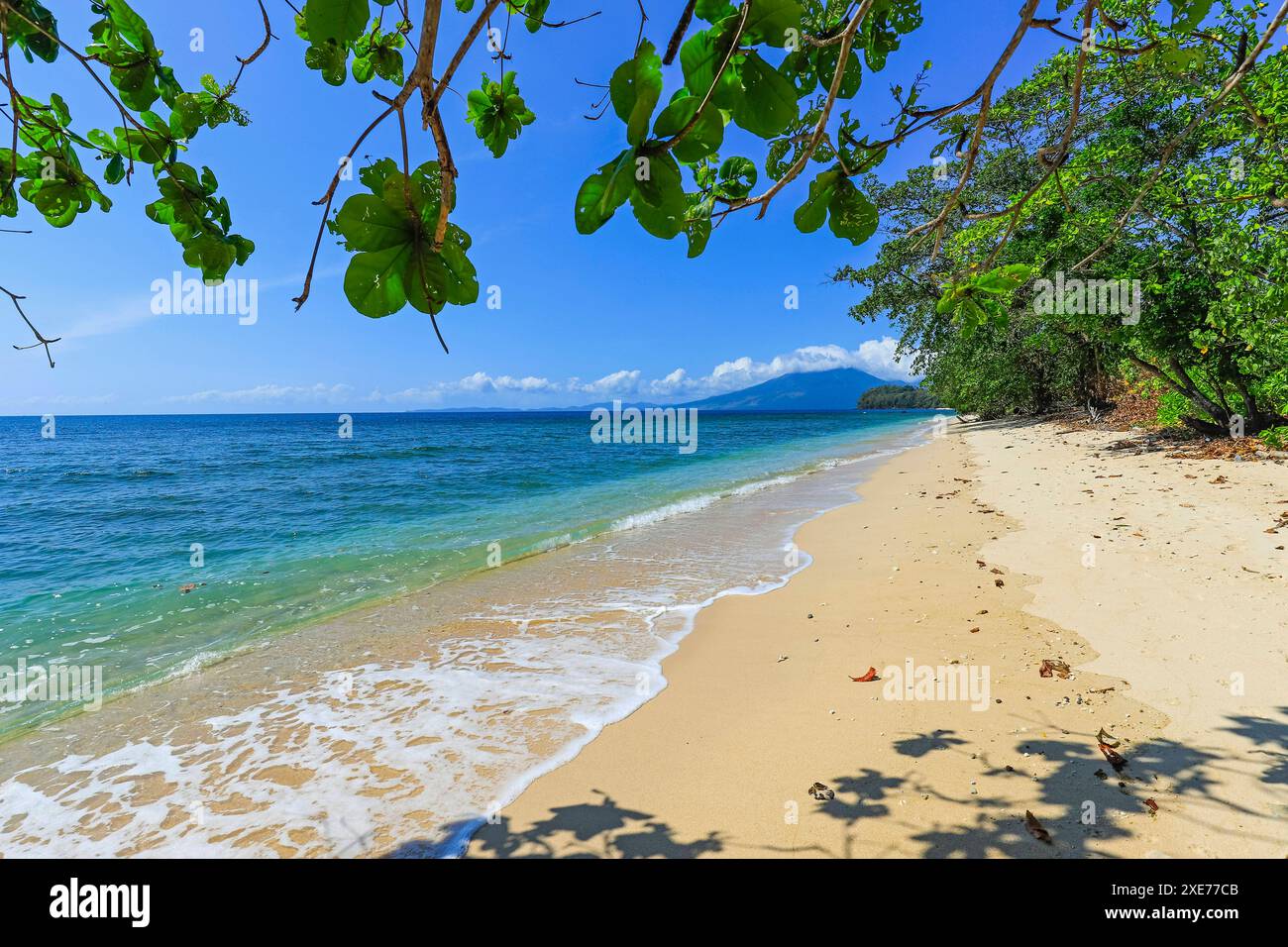 View from Pulisan beach to Tangkoko mountain and national park beyond ...