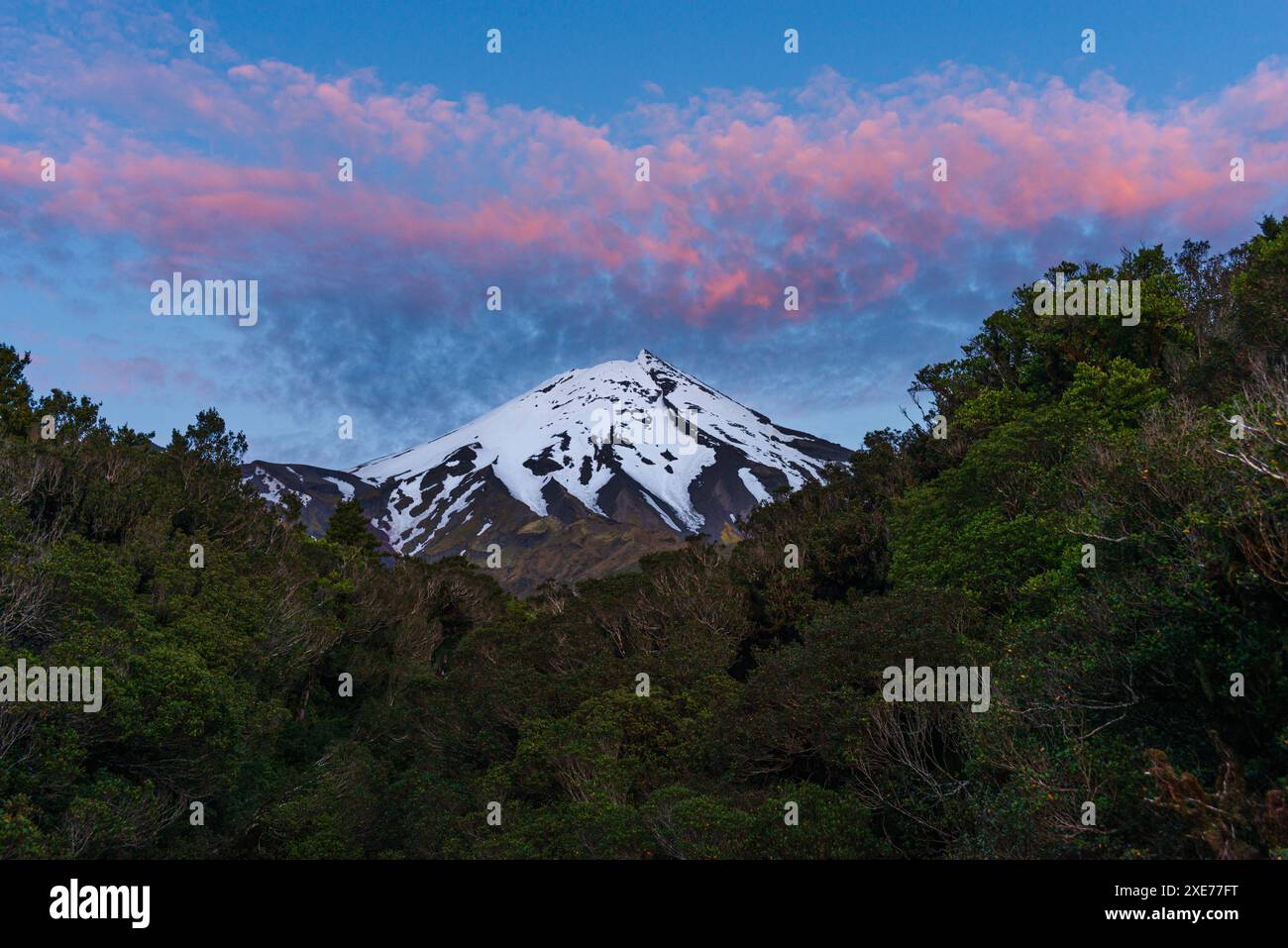 Purple sunset above the snowy summit of Mount Taranaki, North Island ...
