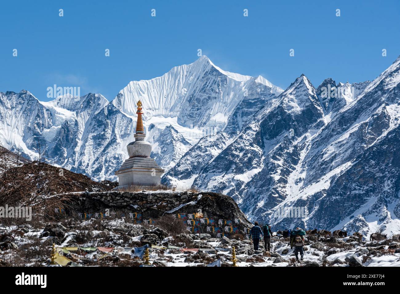 Golden Enlightenment Stupa in front of the snowy summit Gangchempo in ...