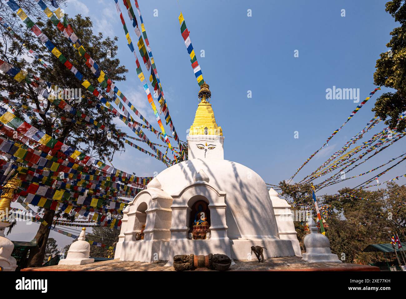 Small white stupa with golden top and face under a forest of colourful ...
