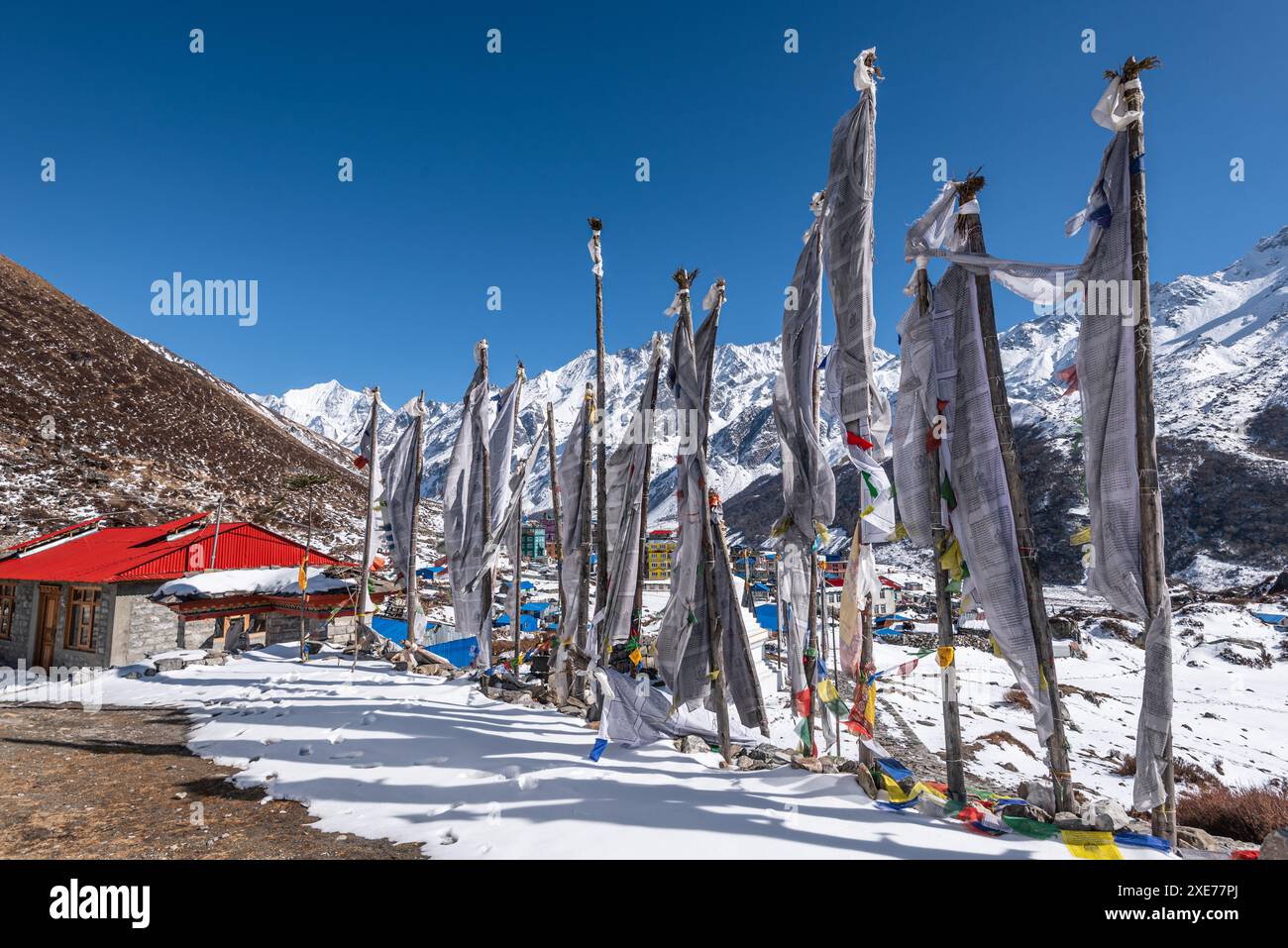 White Prayer flags in the wind, Kyanjin Gompa, Lang Tang Valley Trek ...