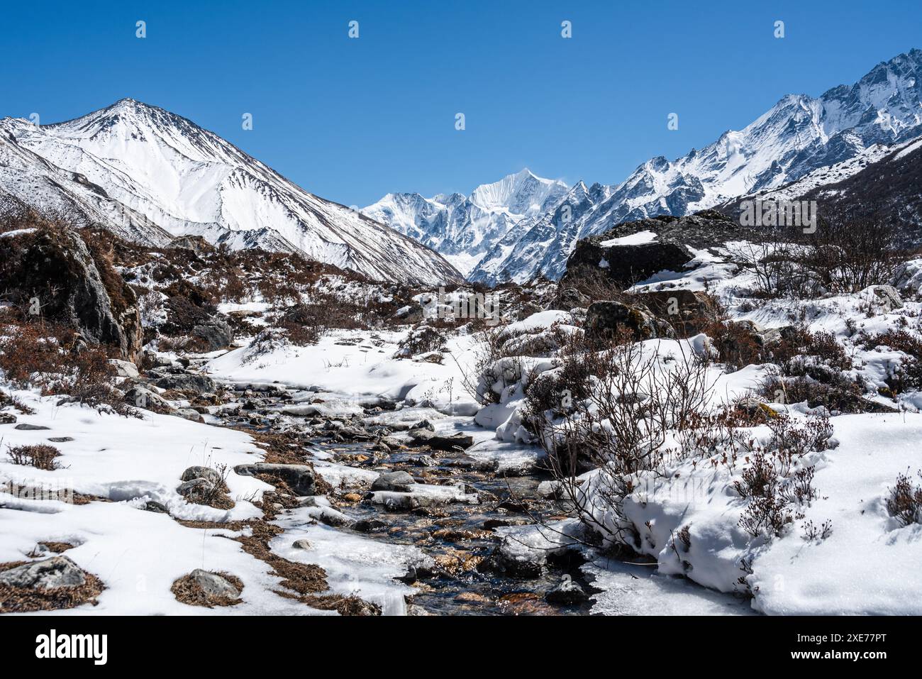 Icy river leading along the Lang Tang Valley towards the snow and ice ...