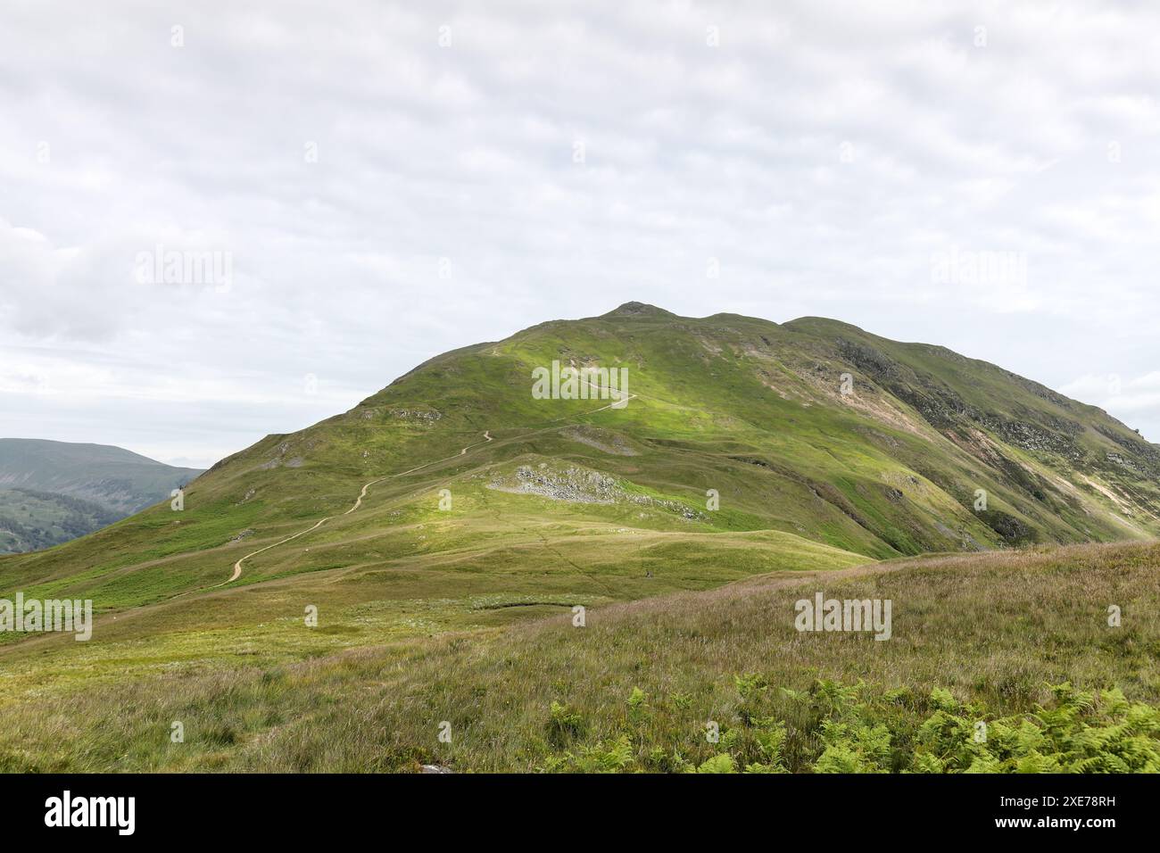 Beda knott hi-res stock photography and images - Alamy