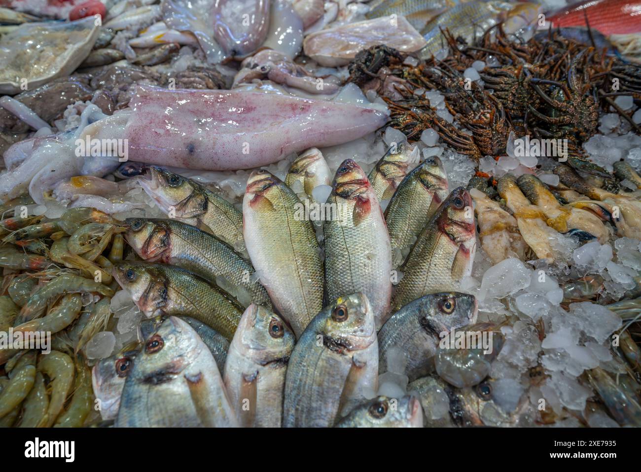 View of fish stall in Hurghada Fish Market, Hurghada, Red Sea ...