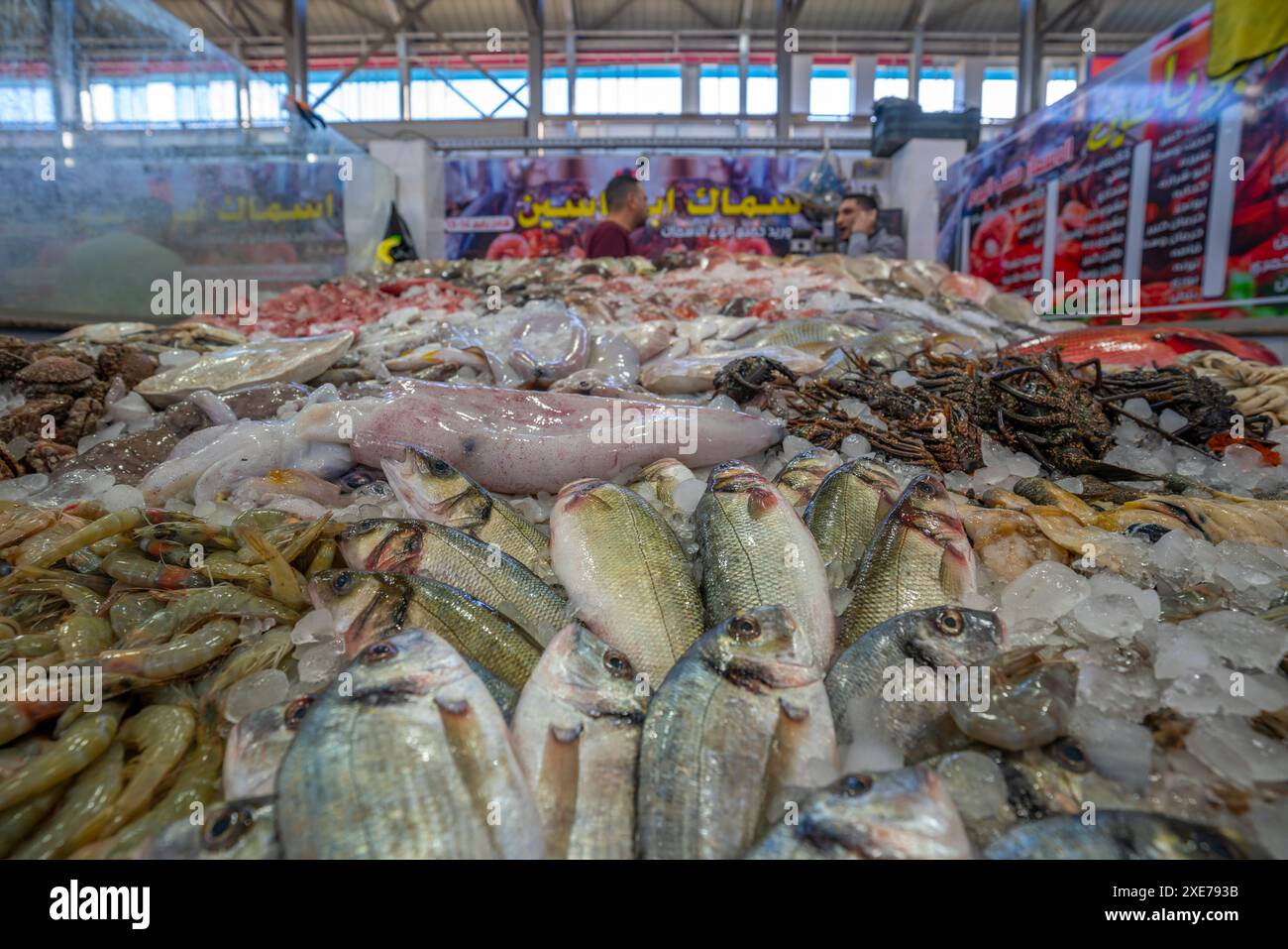 View of fish stall in Hurghada Fish Market, Hurghada, Red Sea ...