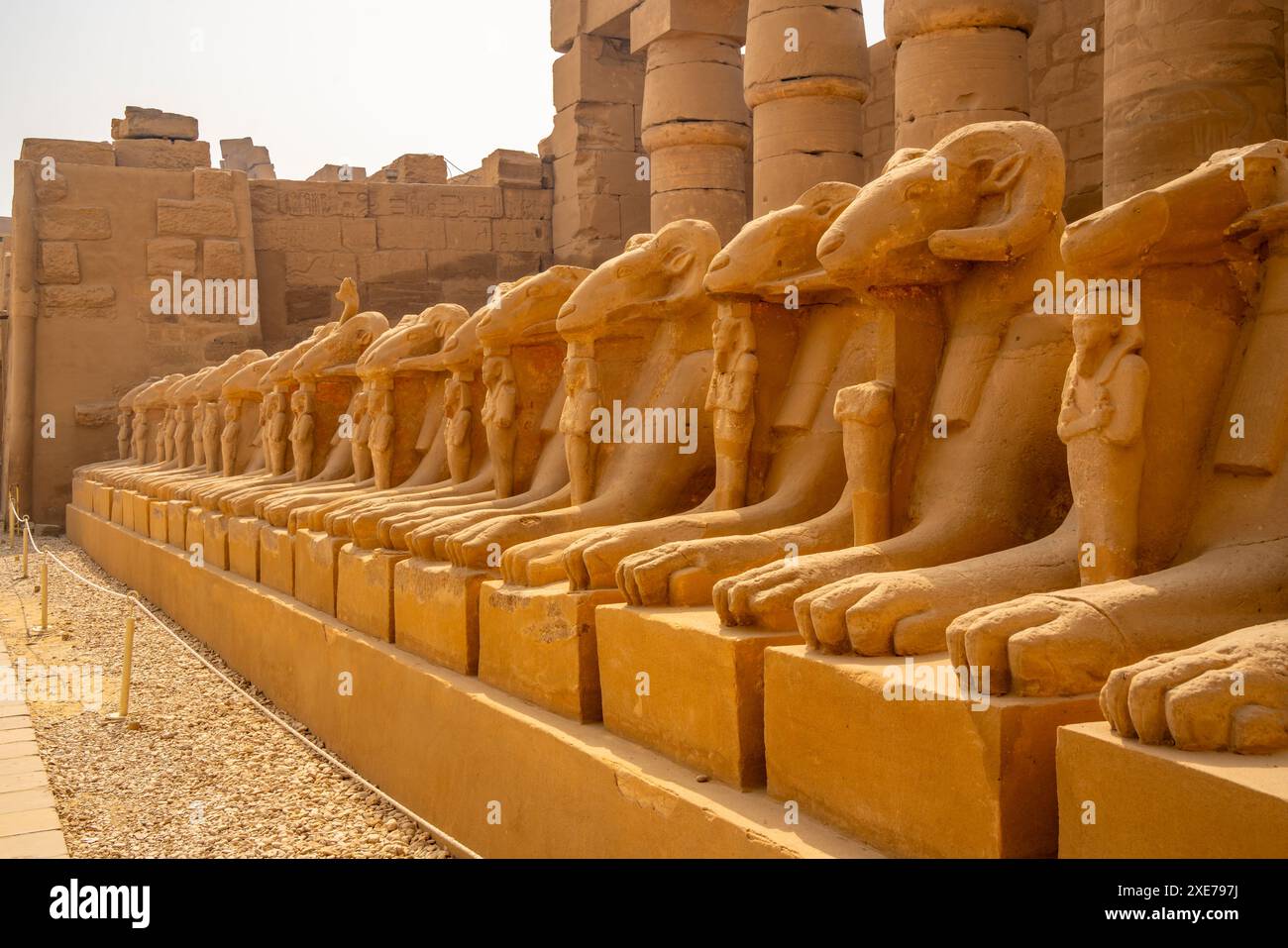 View of Ram headed sphinxes leading up to Ramesses III Temple at Karnak ...