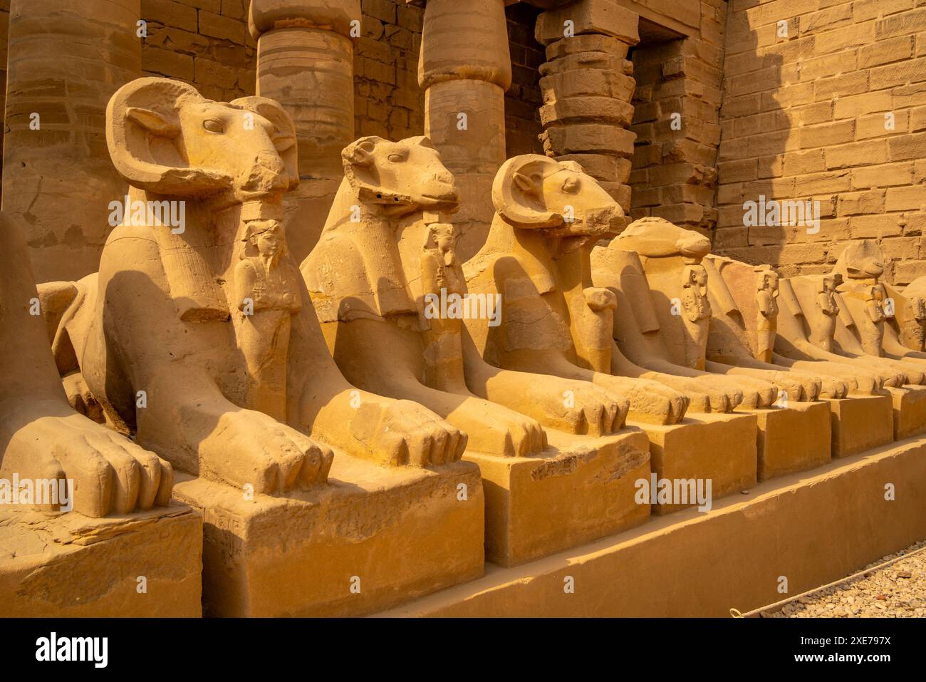View of Ram headed sphinxes leading up to Ramesses III Temple at Karnak ...