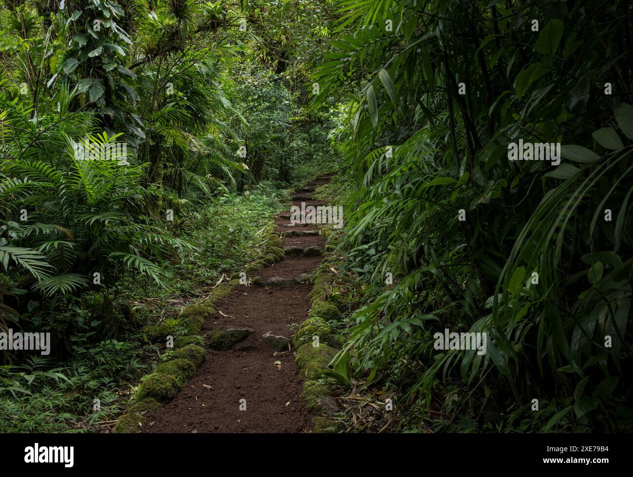 Volcán mombacho reserva natural hi-res stock photography and images - Alamy