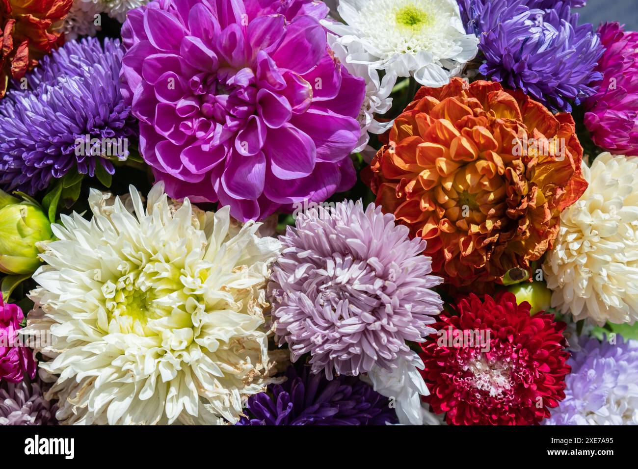 Mixed color flowers bouquet background. Pink white and violet flowers ...