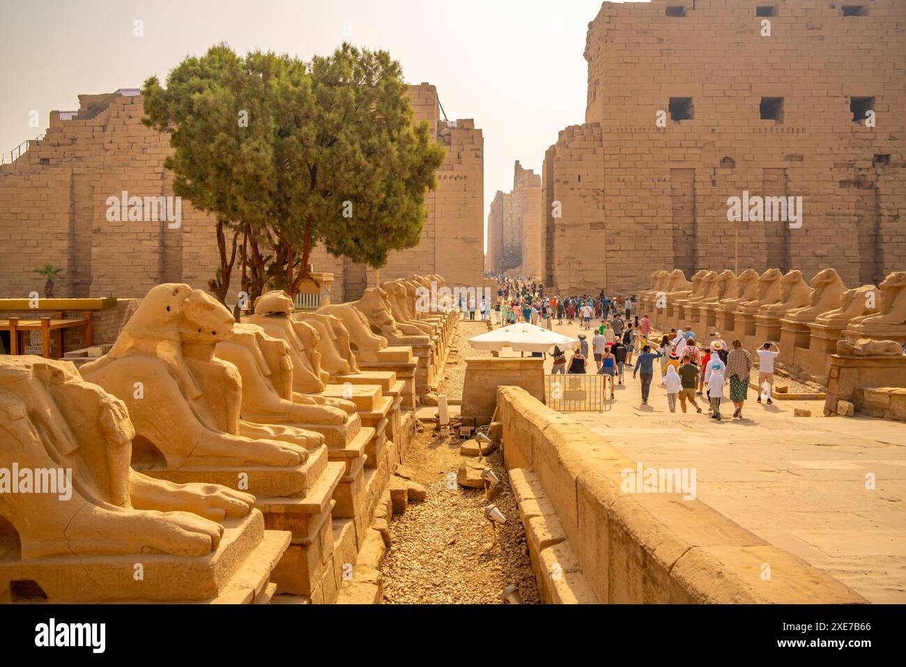 View of Ram headed sphinxes leading up to the first pylon at Karnak ...