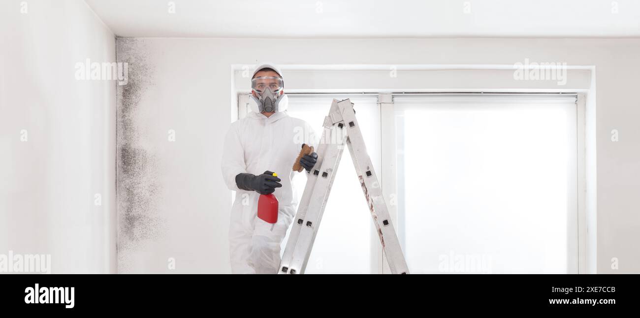 Professional mold removal service: Worker on ladder wearing protective ...