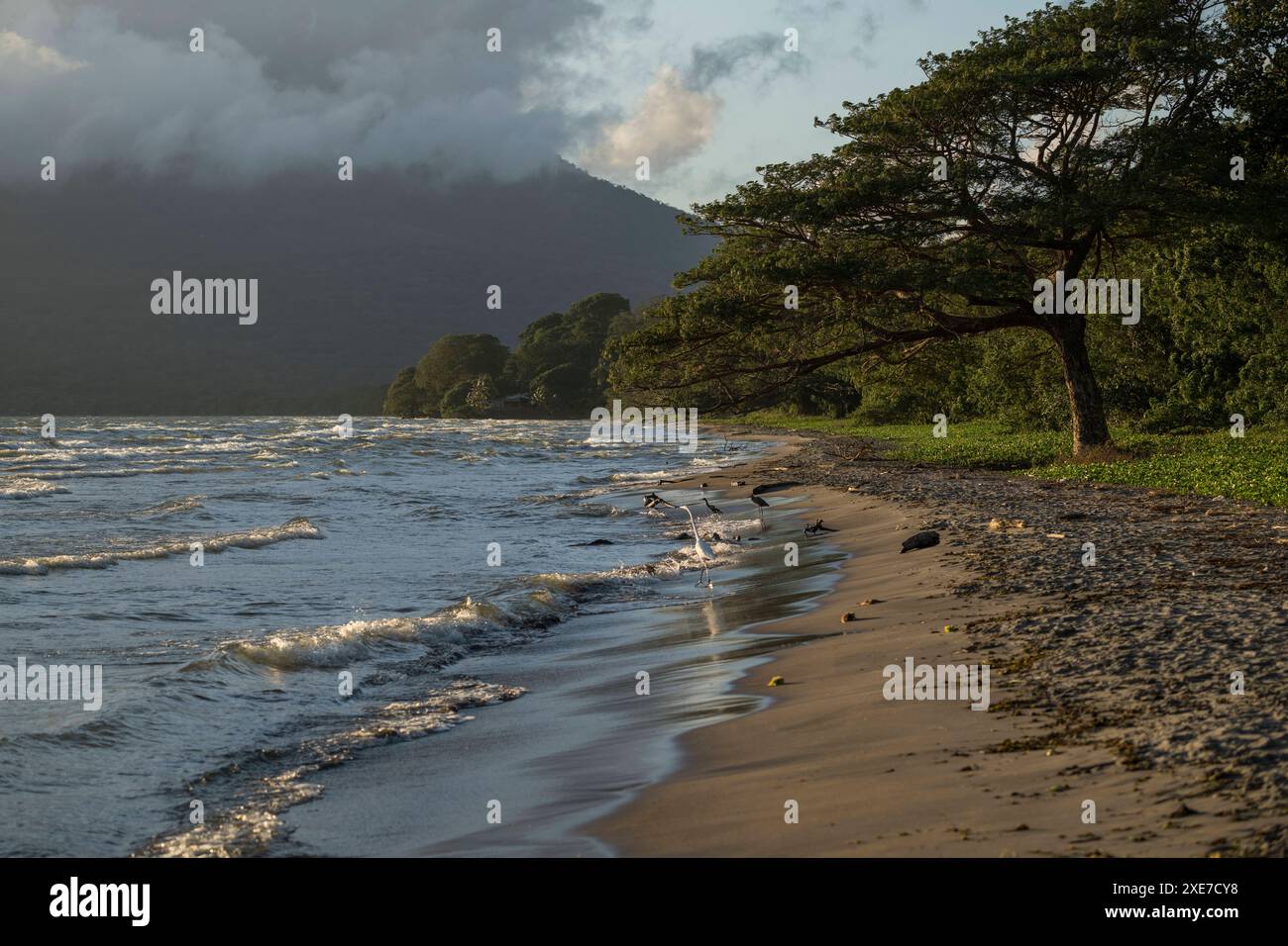 San Fernando Beach, Ometepe Island, Rivas State, Nicaragua, Central ...