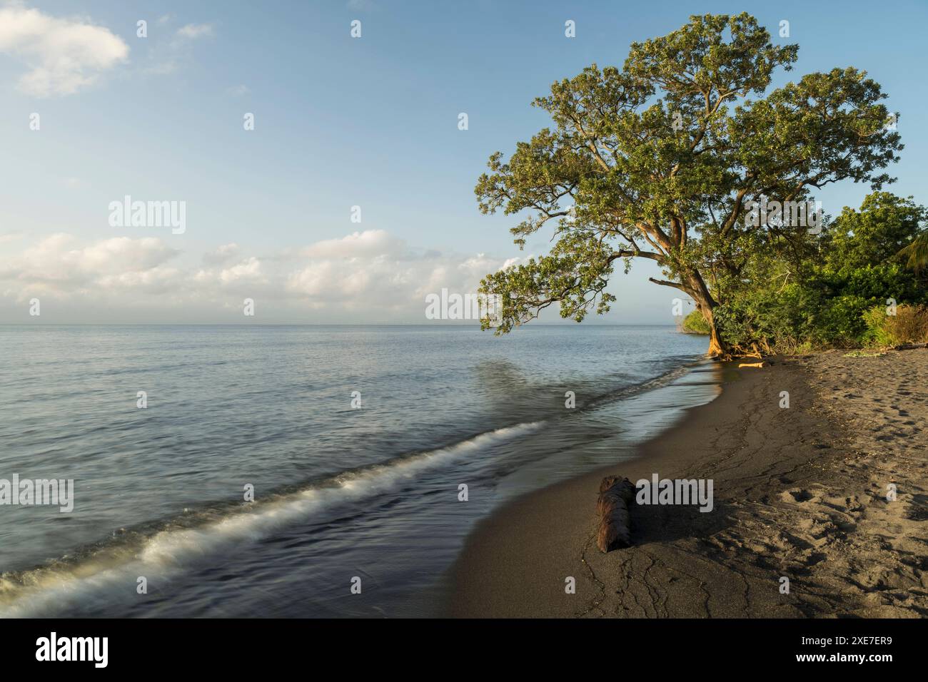 Beach at dawn, Ometepe Island, Rivas State, Nicaragua, Central America ...