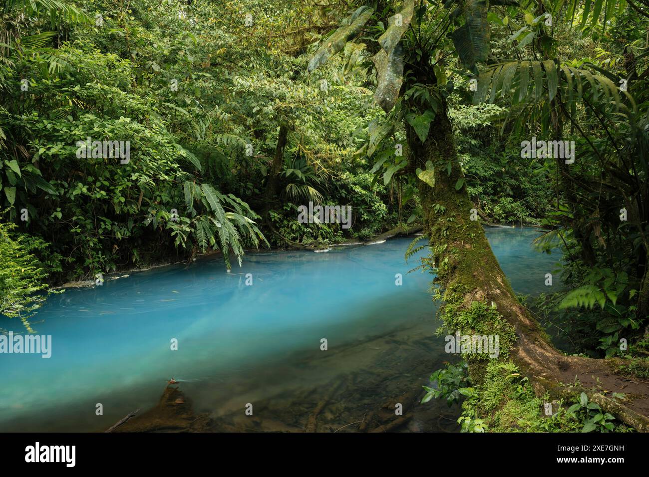 Rio Celeste, Parque Nacional Volcan Tenorio, Alajuela Province, Costa ...