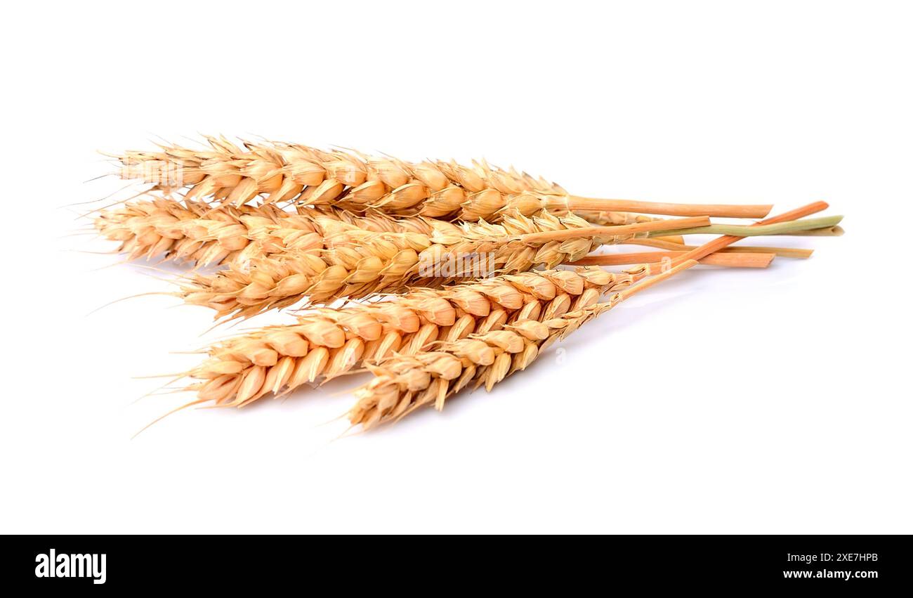 Clean wheat hi-res stock photography and images - Alamy
