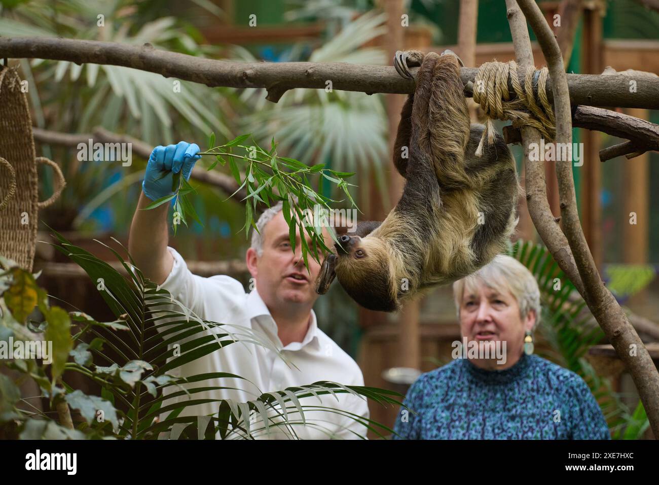 Edinburgh Scotland, UK 26 June 2024. Scottish Liberal Democrat leader ...