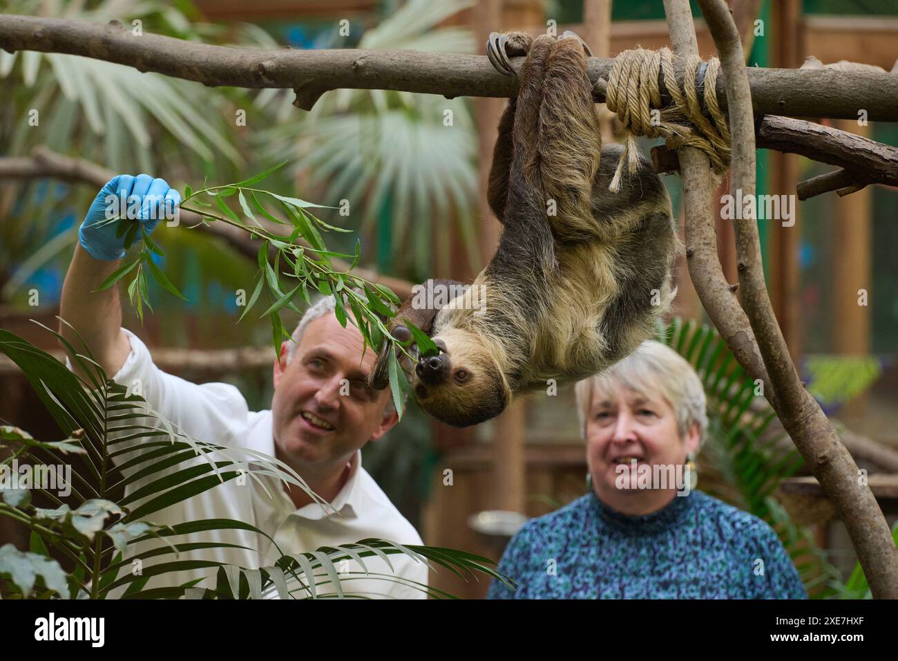 Edinburgh Scotland, UK 26 June 2024. Scottish Liberal Democrat leader ...
