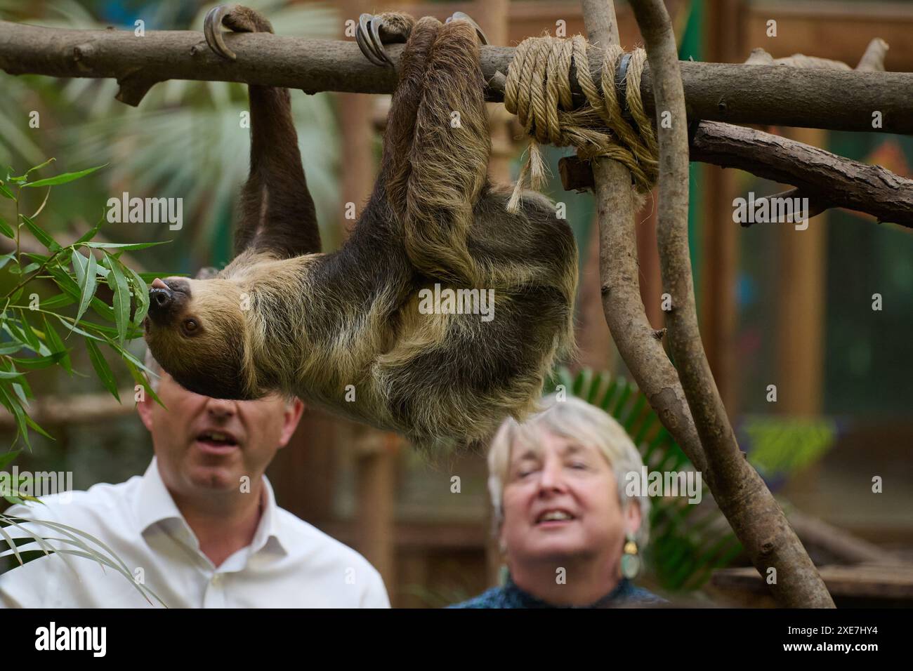 Edinburgh Scotland, UK 26 June 2024. Scottish Liberal Democrat leader ...