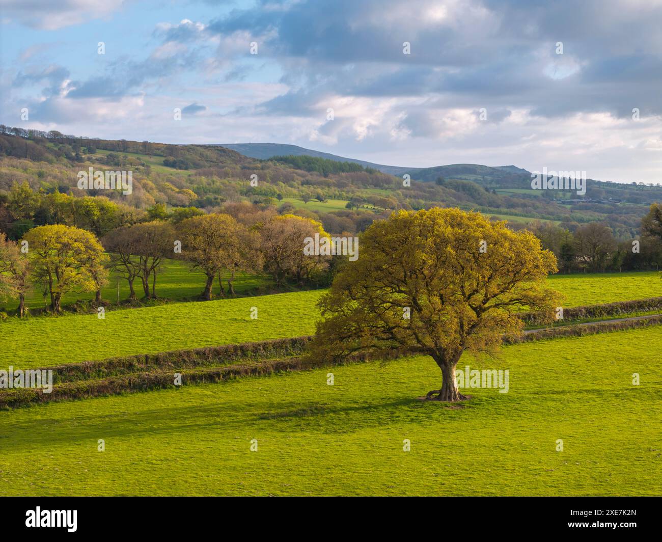 Okehampton dartmoor hi-res stock photography and images - Alamy