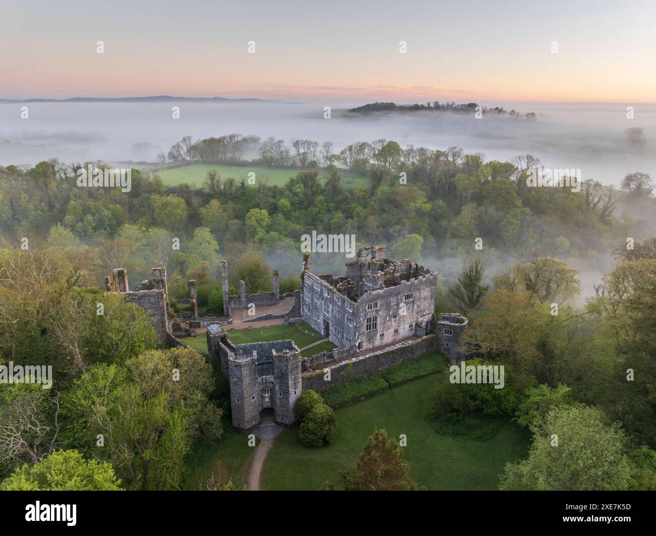 The ruins of Berry Pomeroy Castle at dawn, South Devon, England. Spring ...