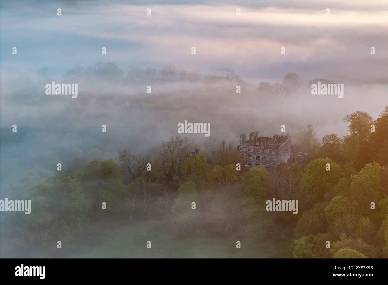 The ruins of Berry Pomeroy Castle emerging from swirling mist, South ...