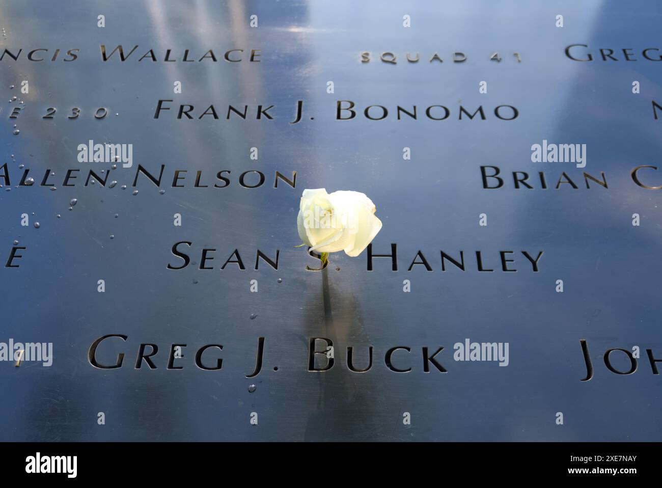 18th June 2024 - New York City, USA - A rose between two names at the ...