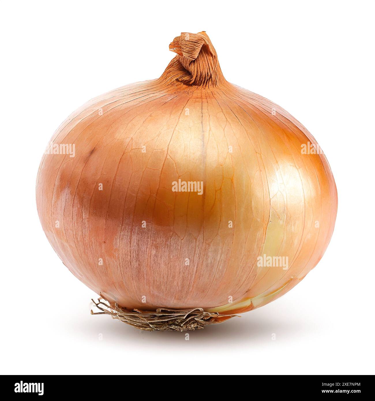 Onion isolated on white background with clipping path and full depth of ...