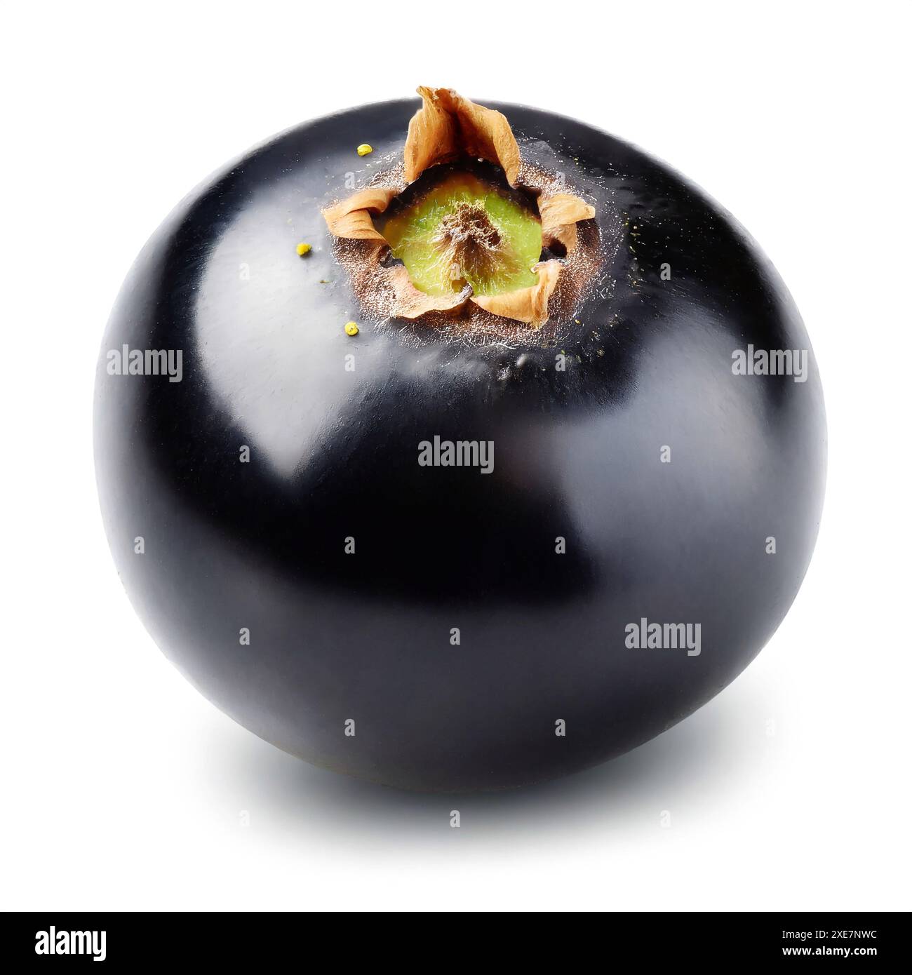 Blackcurrant berry close-up isolated on white background Stock Photo ...