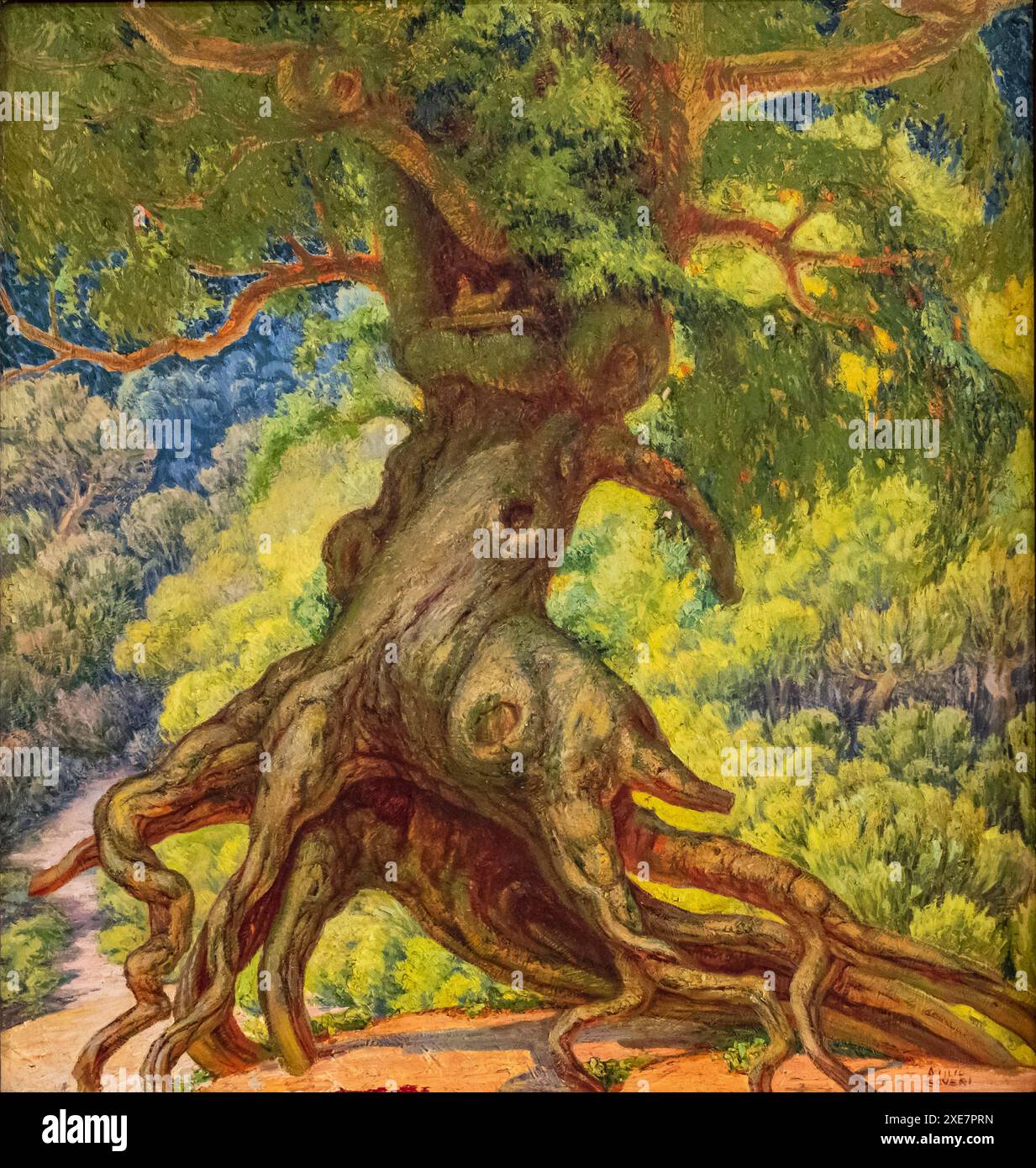 Tree for coloring hi-res stock photography and images - Alamy