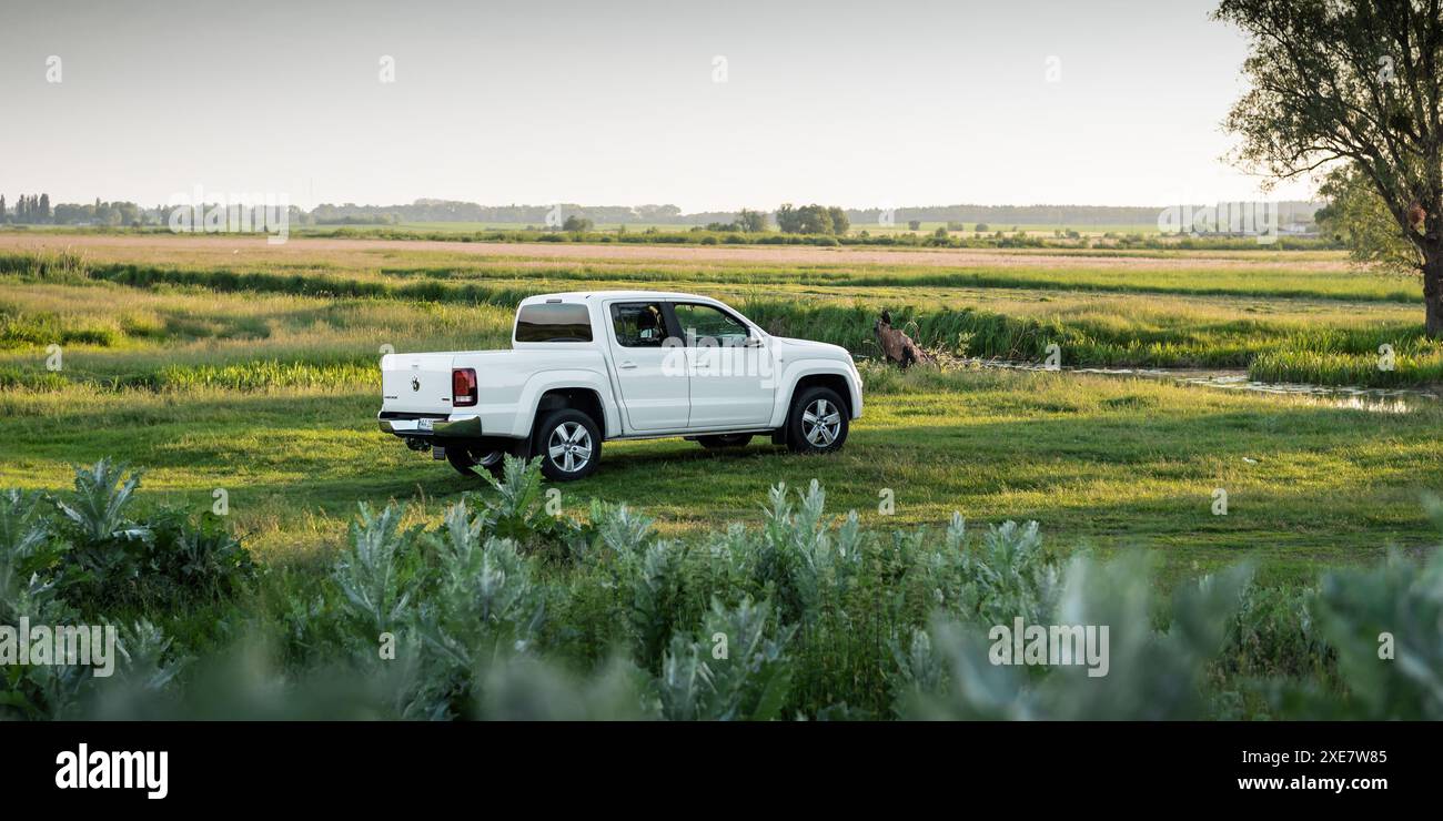 white Volkswagen Amarok in green meadow. Rear three quarter view of ...