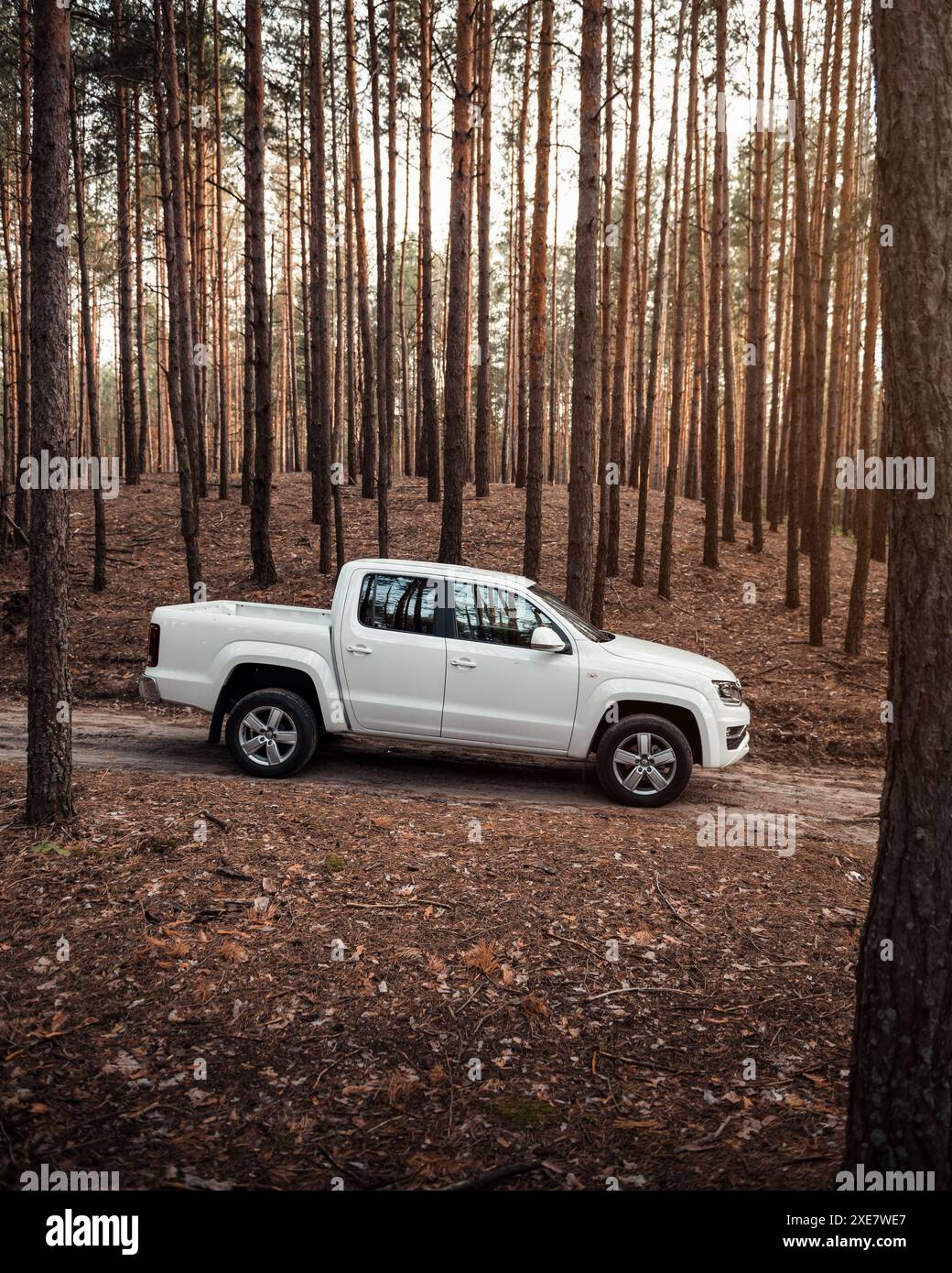 white Volkswagen Amarok in a forest. Side profile view of double cab VW ...