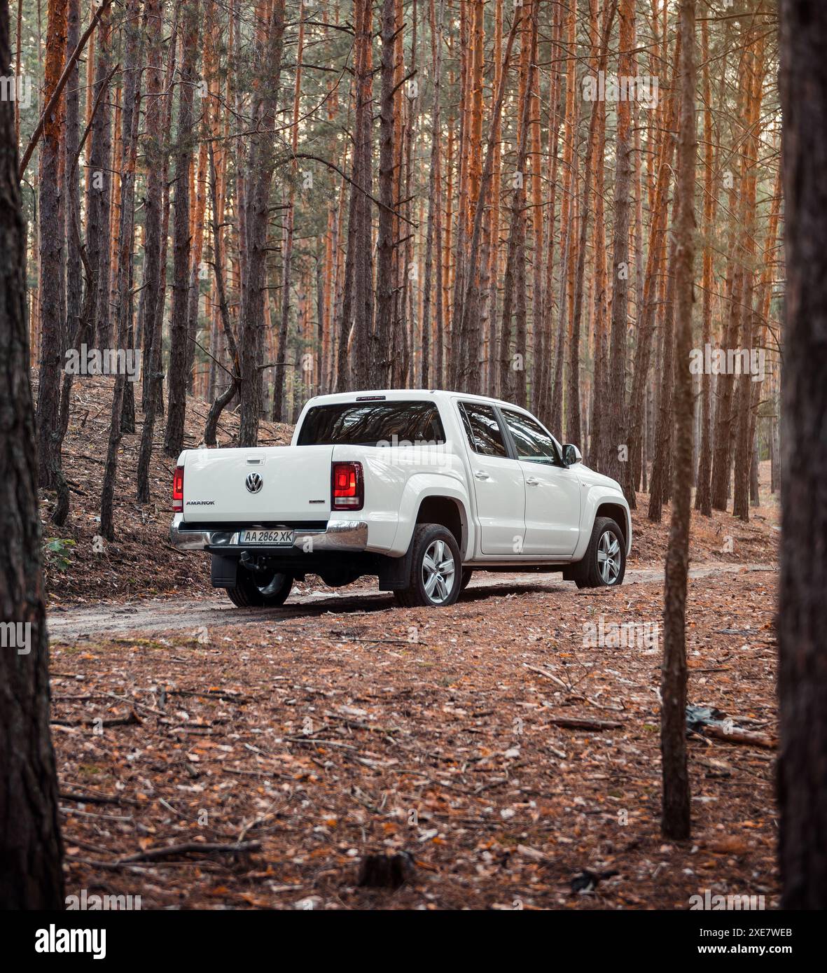 white Volkswagen Amarok in a forest. Rear three quarter view of double ...