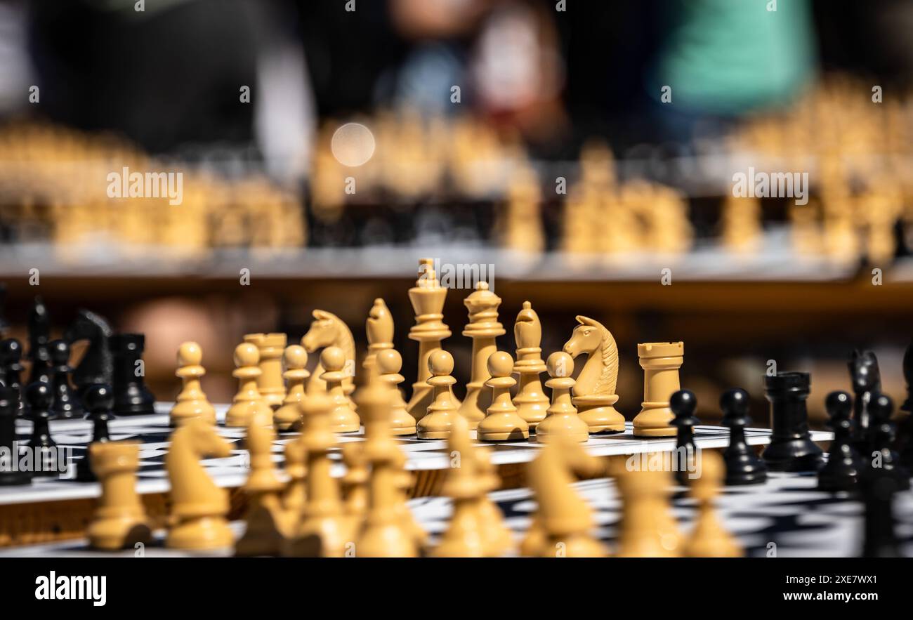 Schachturnier Alsterufer-Schachturnier für Schulklassen am 26. Juni ...