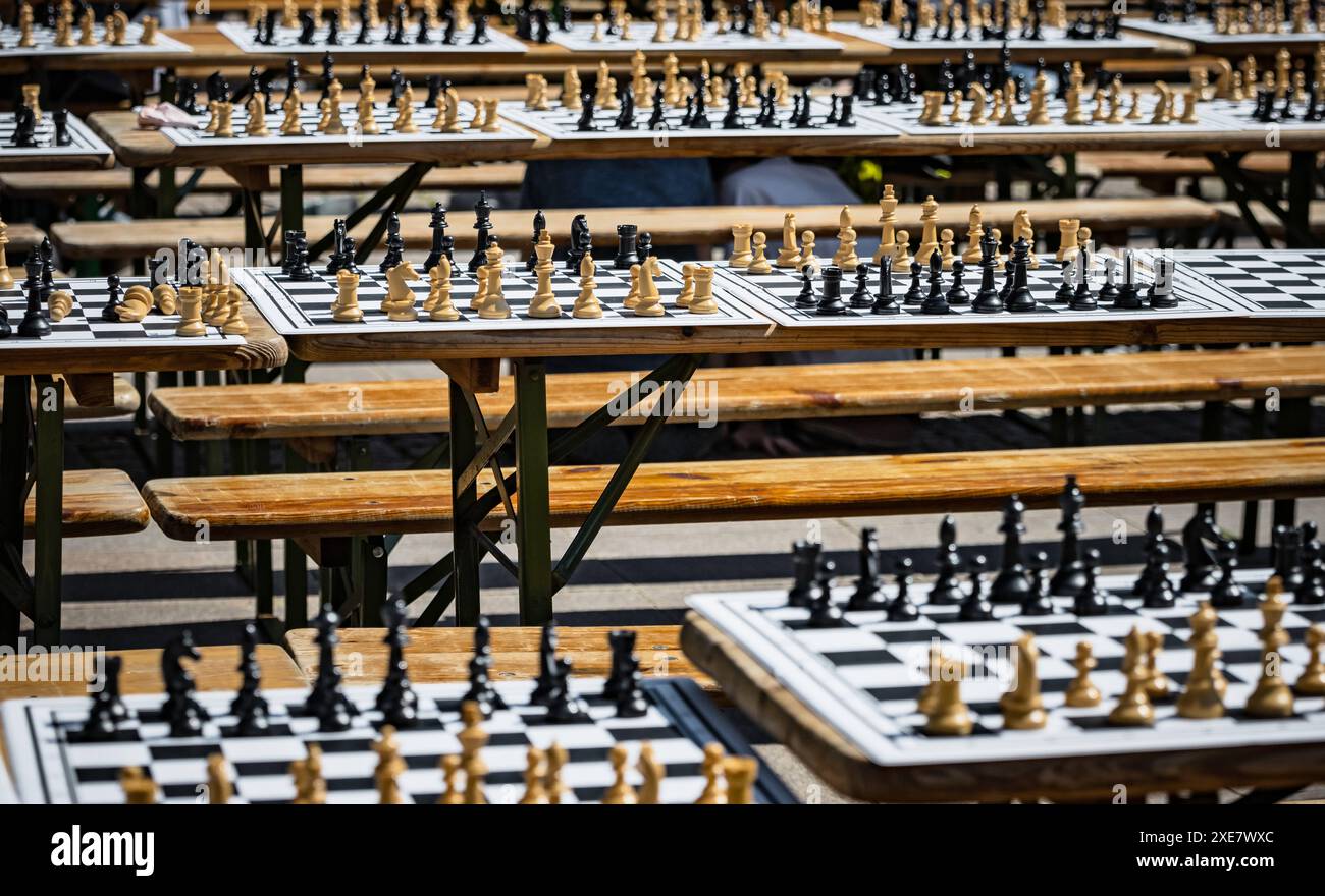 Schachturnier Alsterufer-Schachturnier für Schulklassen am 26. Juni ...