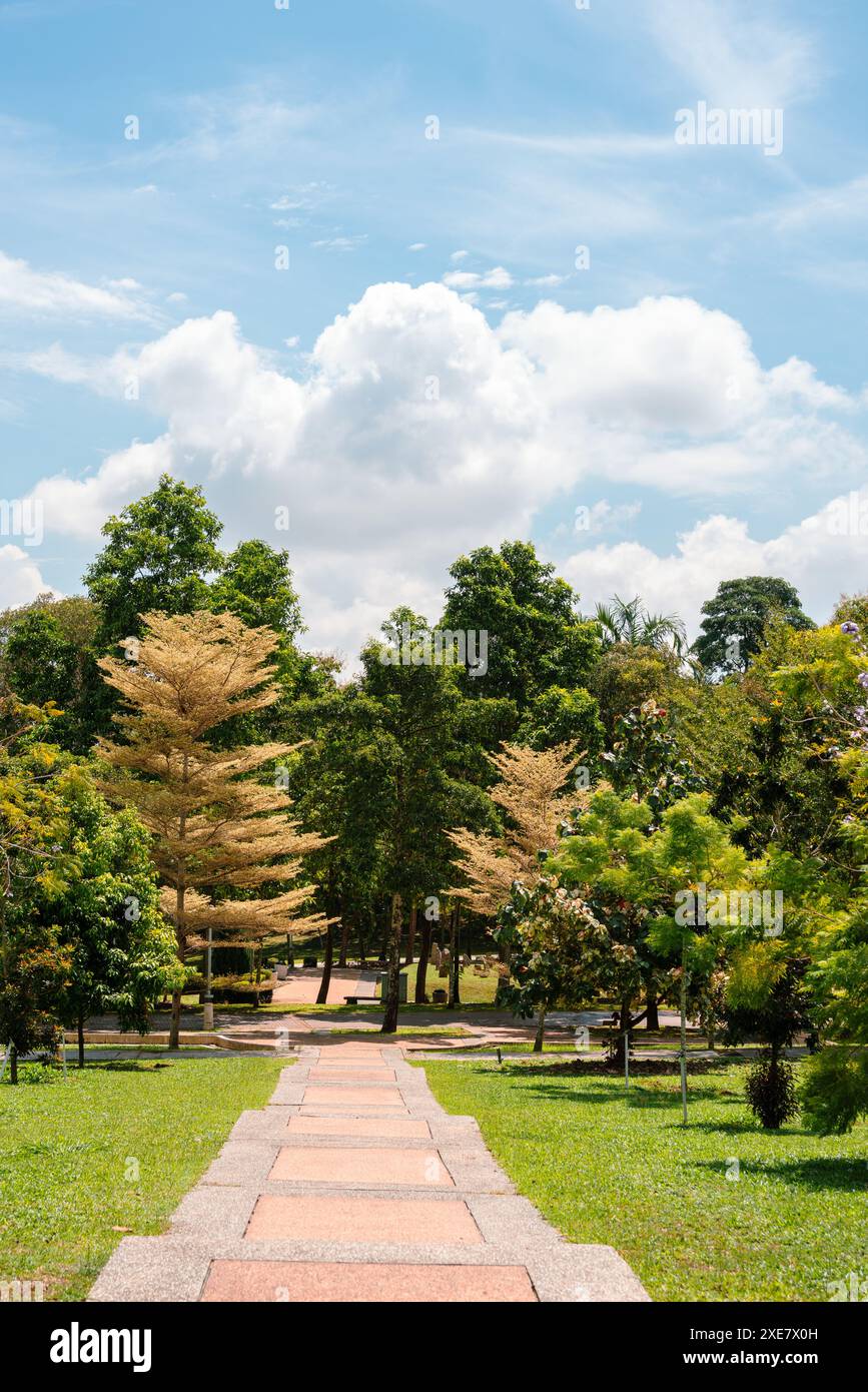 Taman Putra Perdana green forest park in Putrajaya, Malaysia Stock ...
