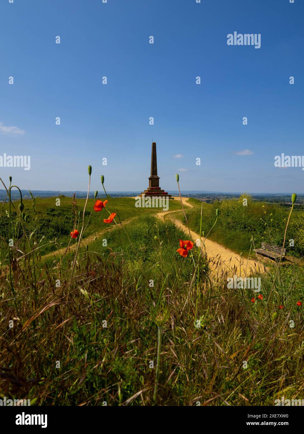Blackdown hill hi-res stock photography and images - Alamy