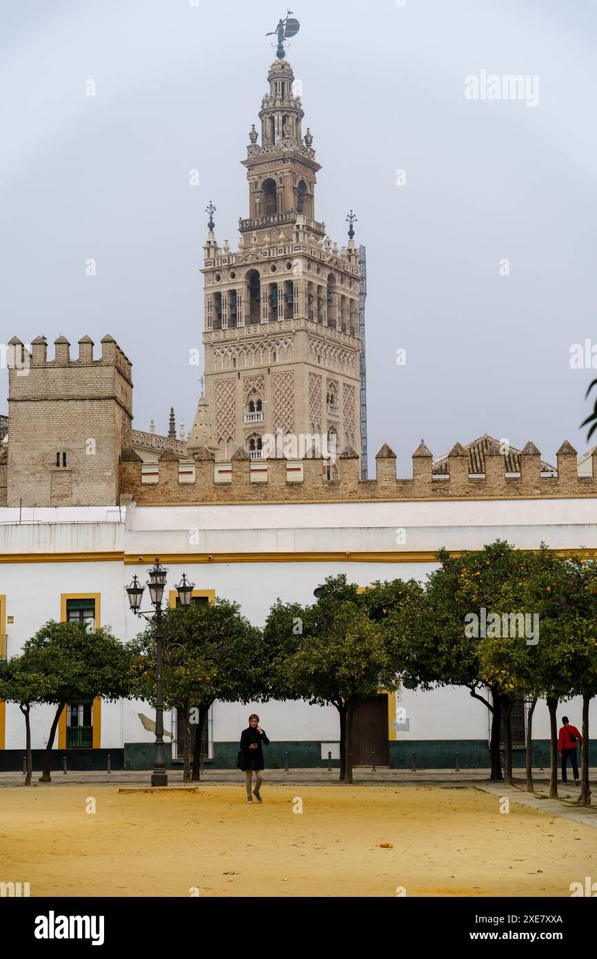 Seville, Spain. February 7, 2024 - Seville cathedral and Giralda tower ...