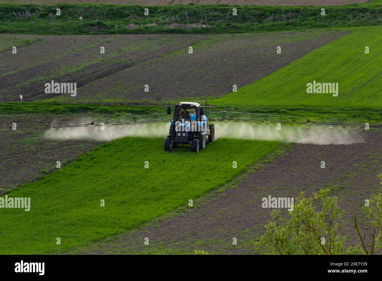 Aerial view of tractor spraying crop in green farm fields with ...