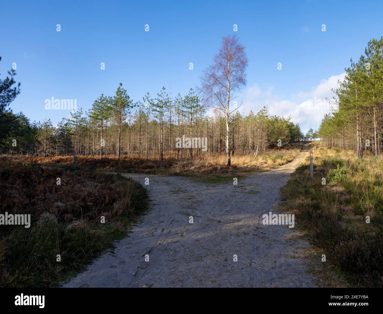 Fork in road horizontal hi-res stock photography and images - Alamy