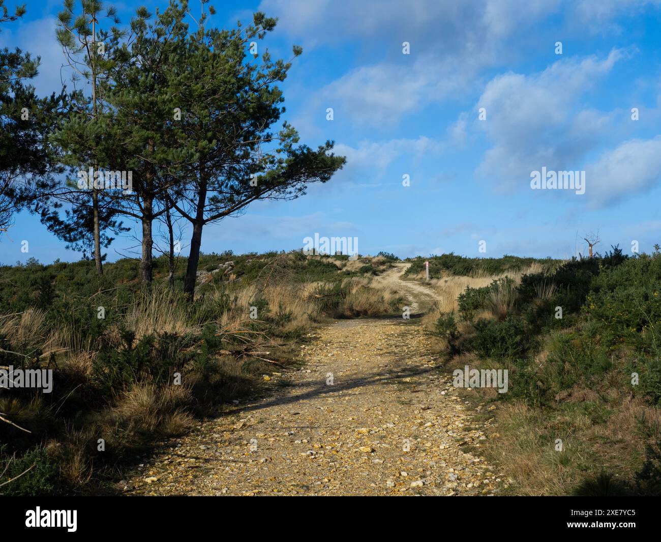 Walking track walking trail hi-res stock photography and images - Alamy
