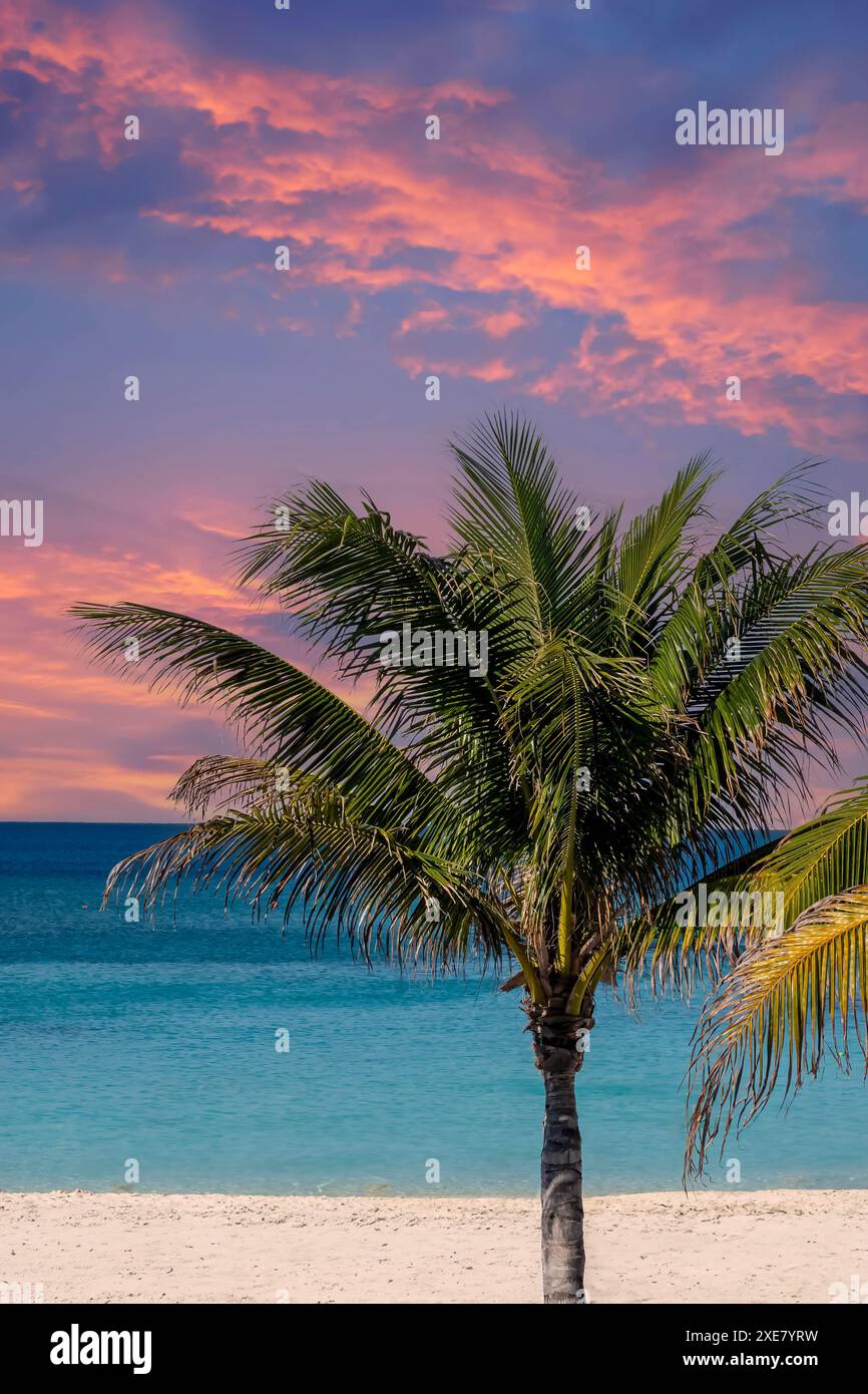Caribbean Sun Retreat: Vacationers Revel in Serenity, Sunbathing Bliss ...