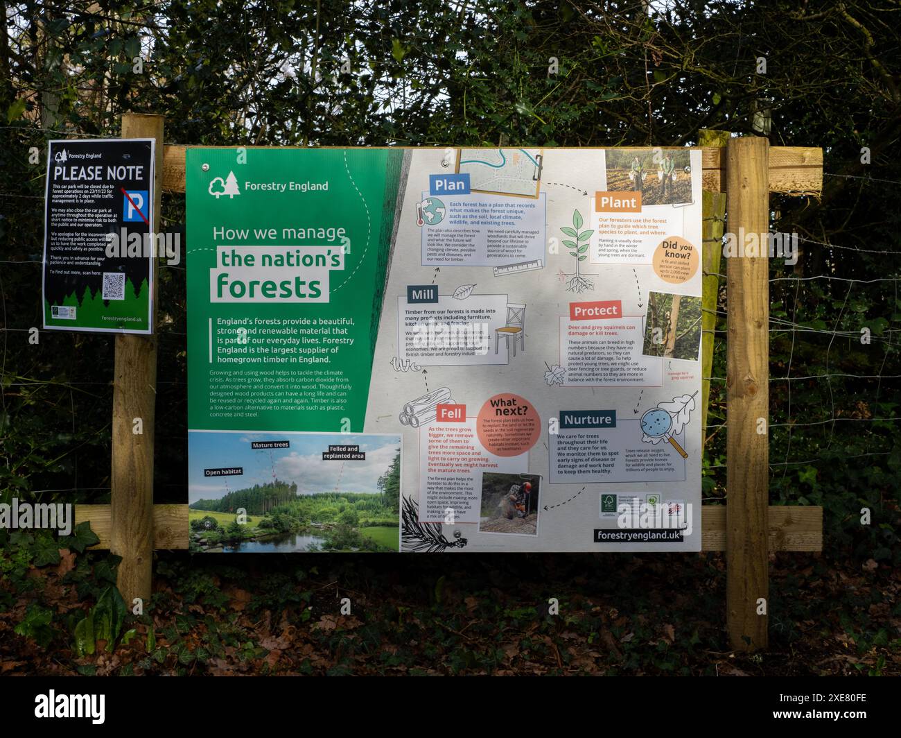 Forestry England info board in Wareham Forest, Dorset, UK Stock Photo ...