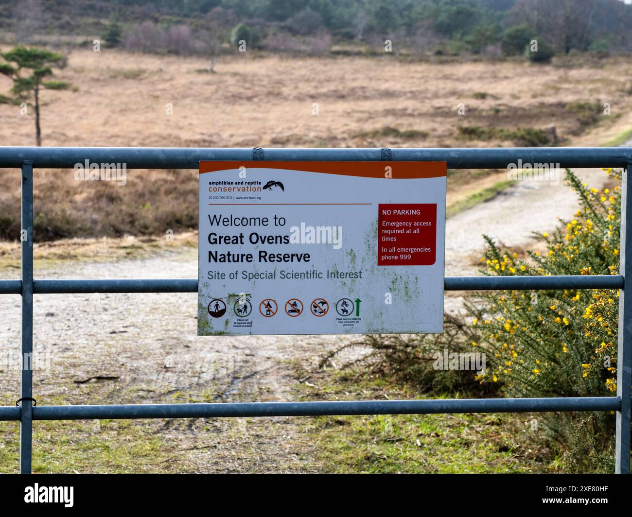 Great Ovens Nature Reserve, owned by the Amphibian and Reptile ...