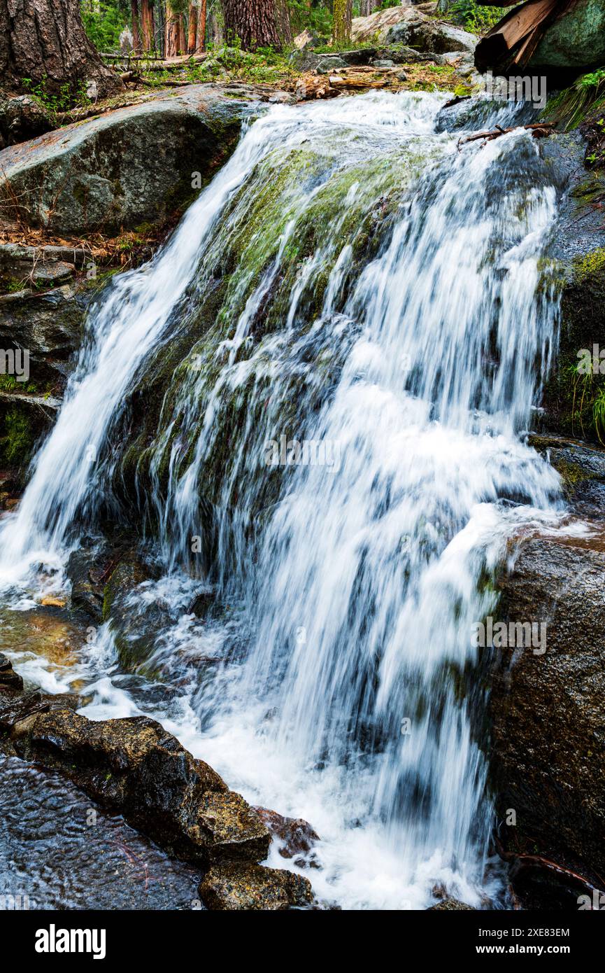 Waterfall; Sequoia National Park; California; USA Stock Photo - Alamy