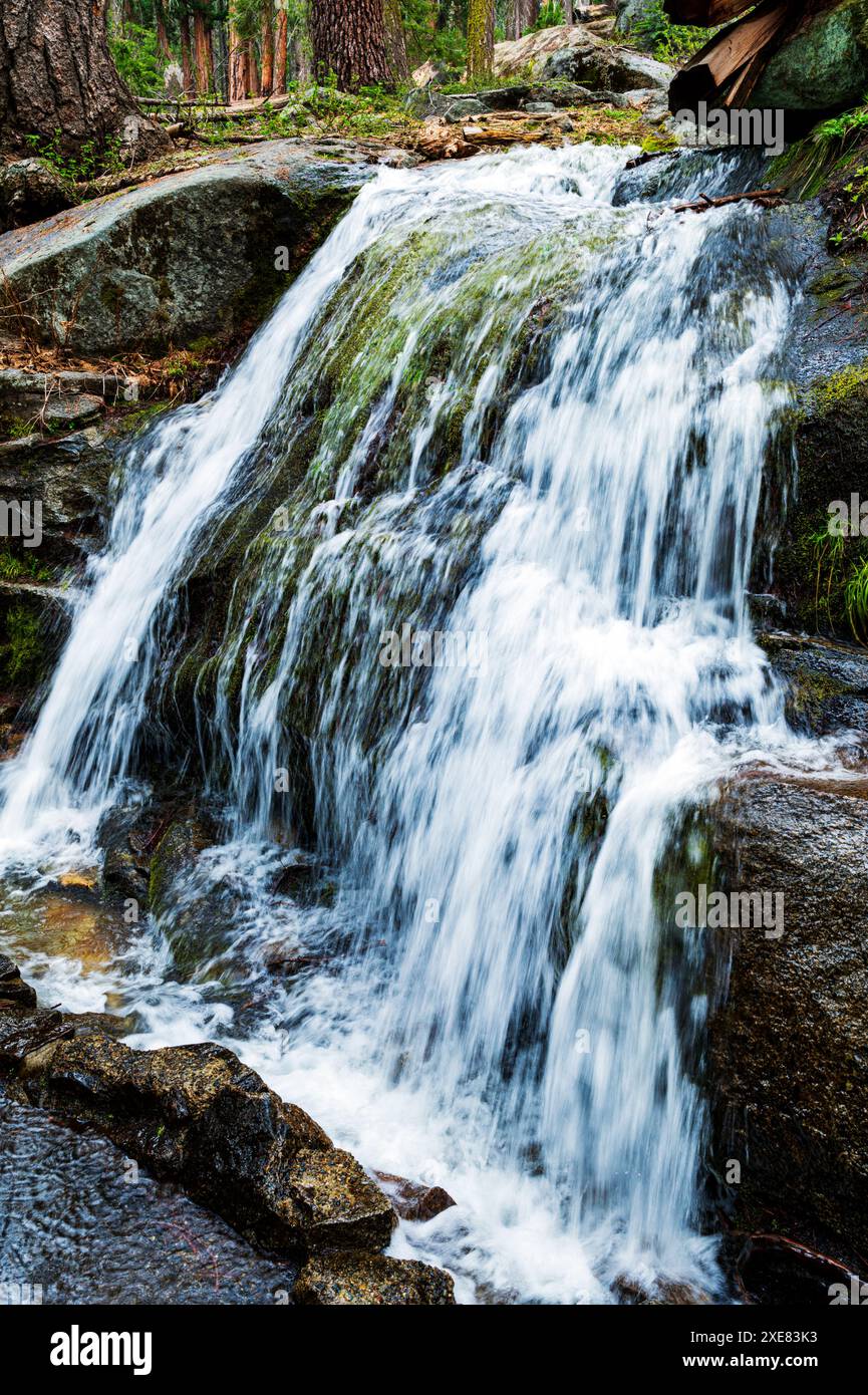 Waterfall; Sequoia National Park; California; USA Stock Photo - Alamy